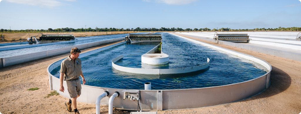 Home - Pacific Biotechnology